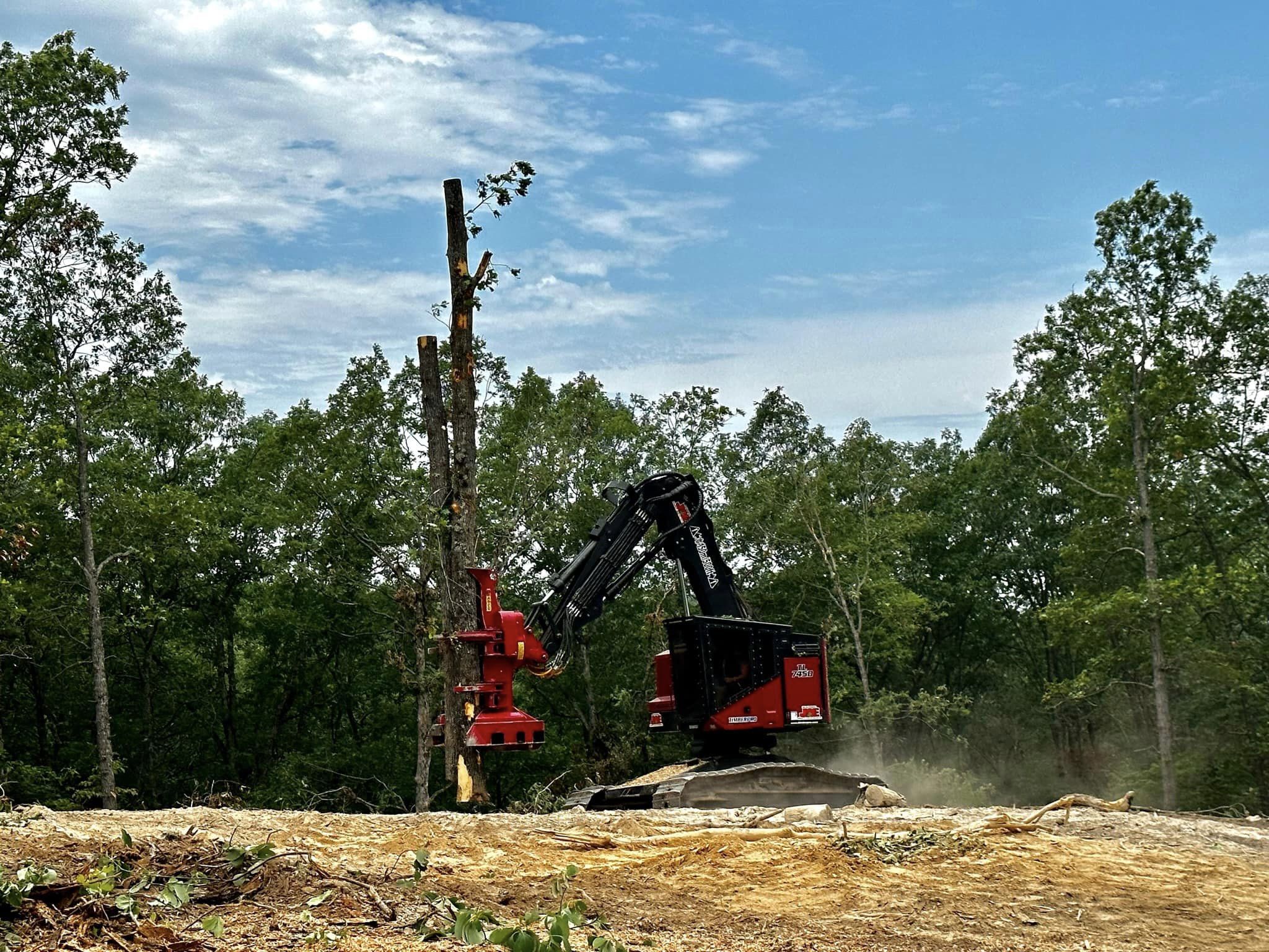ZCM Timber